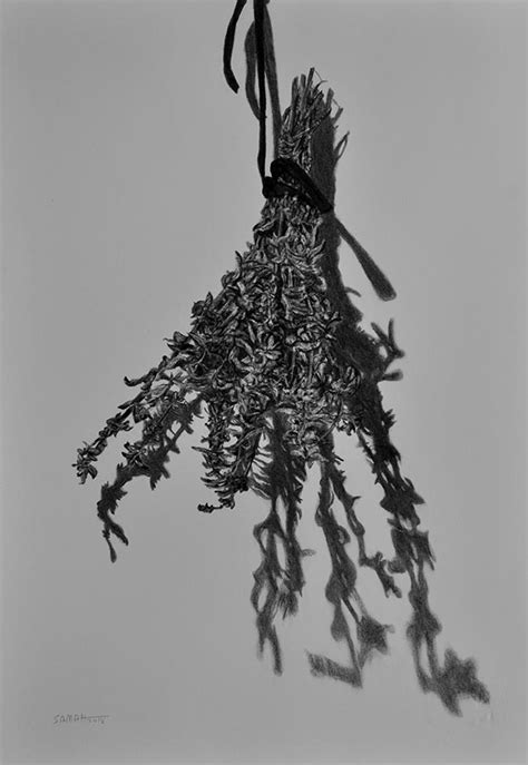 Hungry For Home By The Palestinian Artist Samah Shihadi Magazine