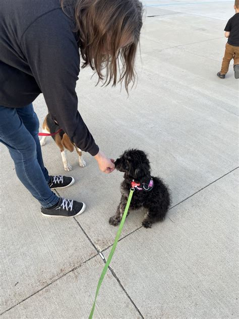 Izzy Update Jos Country Junction