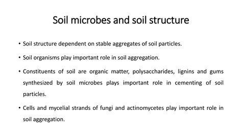 Role Of Microbes In Soil Pptx