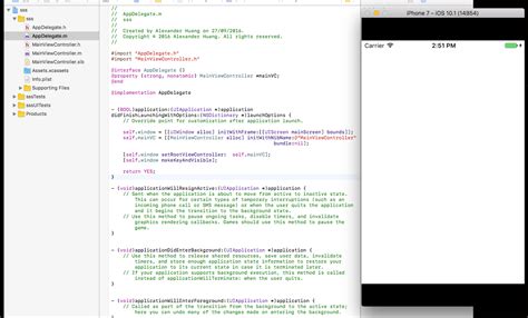 Beta Xcode 8 Remove Storyboard New Project Layout Looks Weird