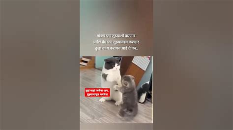 तुझं माझं जमेनातुझ्या वाचून करमेना😜😜😜 Youtube