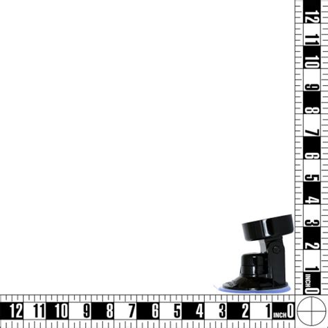 Fleshlight Shower Mount Sex Toys At Adult Empire