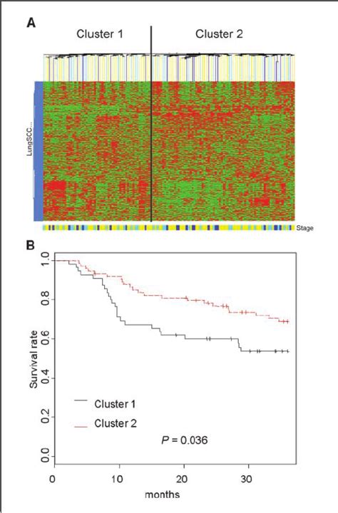 Unsupervised Hierarchical Clustering Identifies Two Clinically Relevant