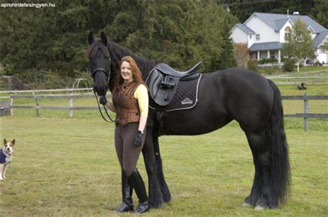 Fekete Fríz Ló Eladó Budapest Viii Kerület Apróhirdetés Ingyen