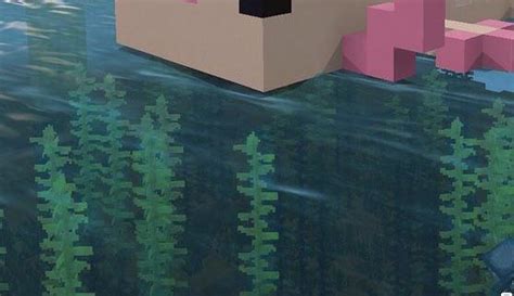 What Is The Name Of This Realistic Water Shader Everyone Uses R Minecraft