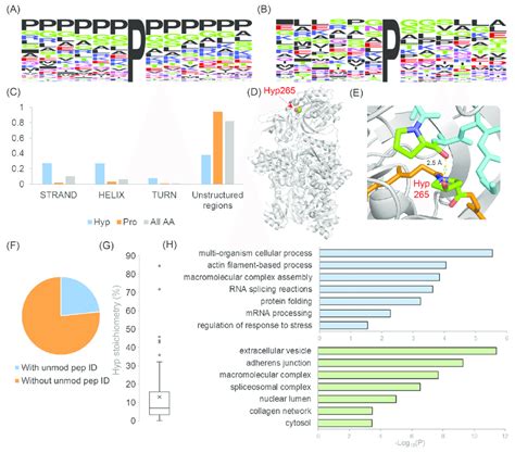 Analysis Of The Structural And Functional Characteristics Of Proline Download Scientific
