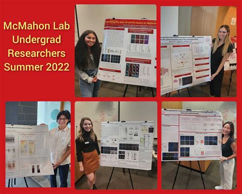 mcmahon lab on twitter our summer 2022 undergrad researchers did some