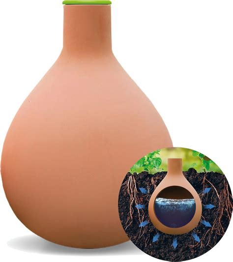 The Olla Company Olla Classic Small Olla Watering Pot