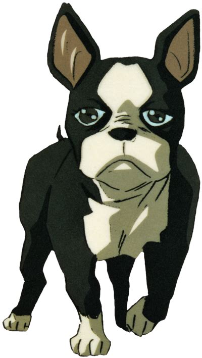 Iggy Jojos Bizarre Encyclopedia Jojo Wiki