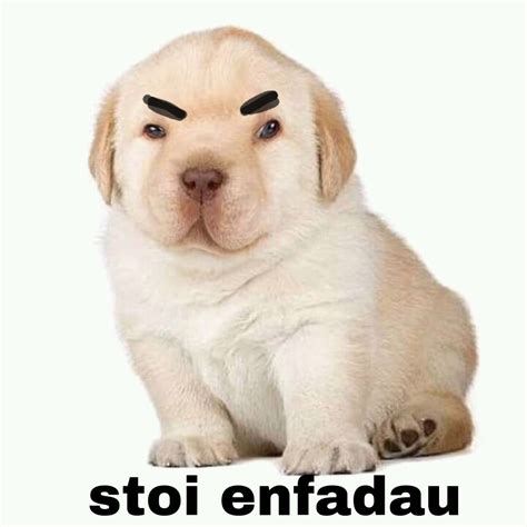 Stickers De Animales Graciosos Para Whatsapp At Gustavo Christensen Blog
