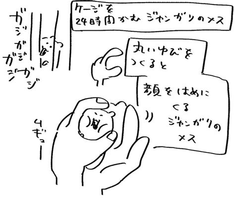 ハムstarを飼育していた頃のmemory こにゅの漫画