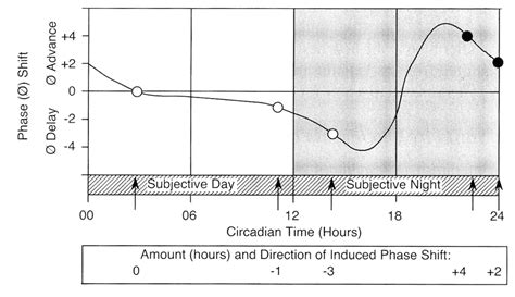 Phase Response Curve Effect Of E G A Light Pulse On Phase Under Download Scientific Diagram