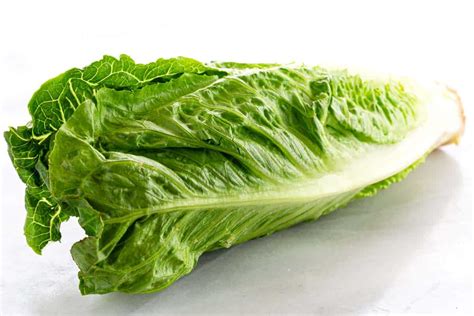 20 Types Of Lettuce And Other Leafy Greens Jessica Gavin