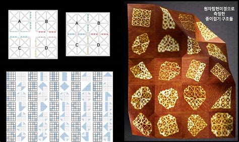 “dna가 종이접기처럼 자유자재로 변신” 초소형 나노로봇 등장한다