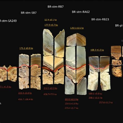 The Different Speleothem Cores Taken In The Structure And The Results