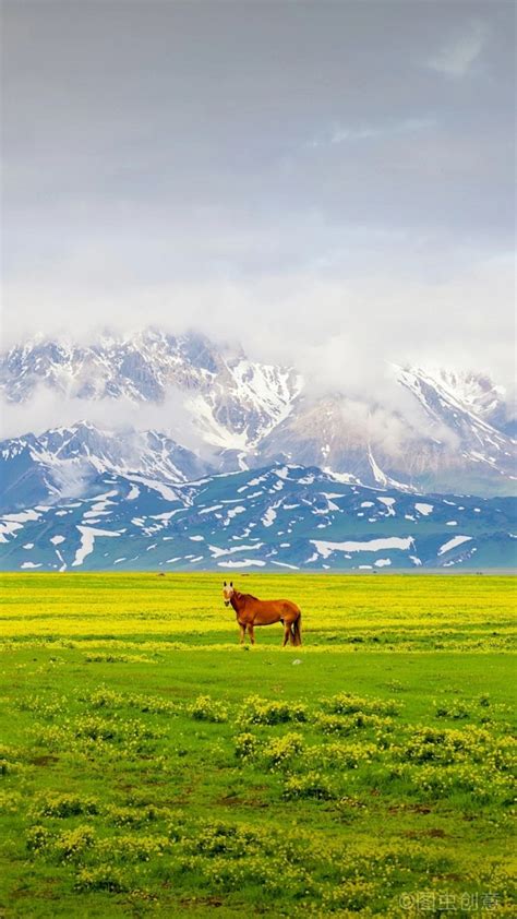赛里木湖是盛夏时节不可多得的避暑胜地，气候凉爽宜人，远方雪峰耸立、林海叠嶂。炎炎夏日、湖畔的草原进入最美旅游季节，广袤的草原，湛蓝的湖水，烂漫