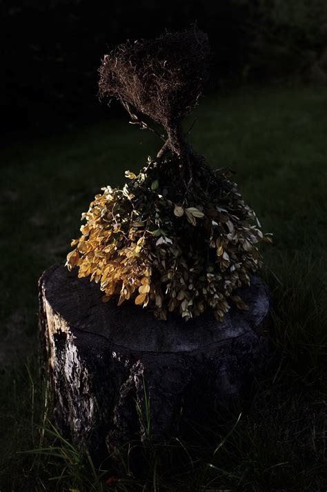 Root Vs Root Fujifilm X100 Camera With Off Camera Flash C Flickr