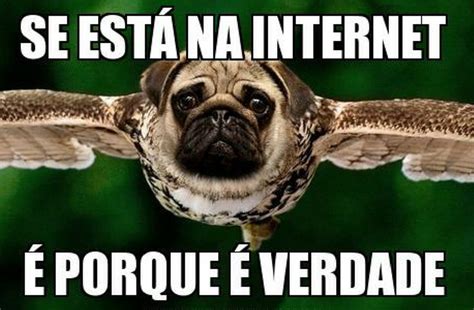 Desinformação Um Grande Perigo Em Tempos De Instabilidade