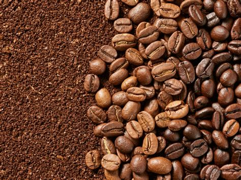 Mengenal Kopi Sidikalang Dan Cara Mengelolahnya Garap Media