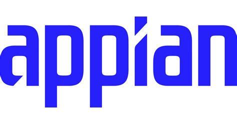 Appian Ai Copilot Delivers Practical Value To Boost Developer Productivity