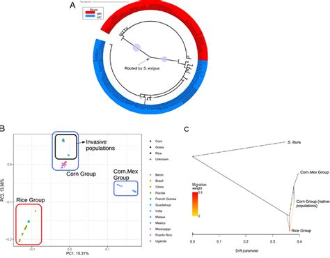 Invasive Origins Inferred From Mitochondrial Or Nuclear Sequences A