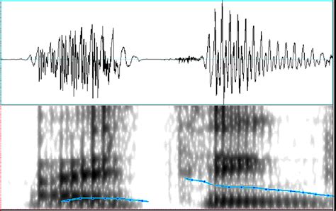 14 The Words I Think With The Display Of Pitch And Spectrogram