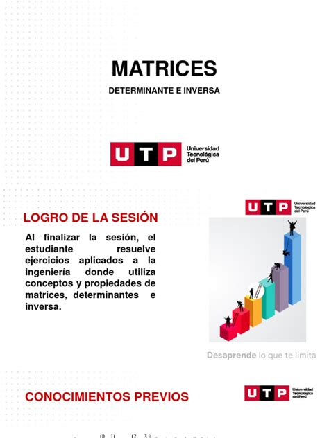 S05 S2 Determinantes Y Matriz Inversa Pdf Determinante Matriz Matemáticas