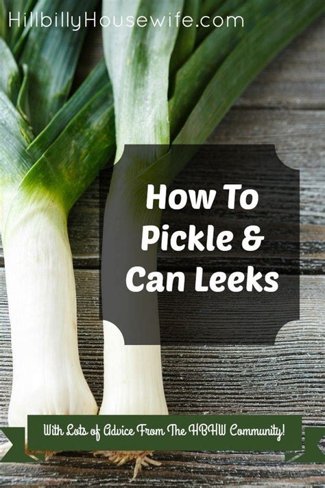 Pickled Leeks Hillbilly Housewife Leeks Pickles Pickled Leeks Recipe