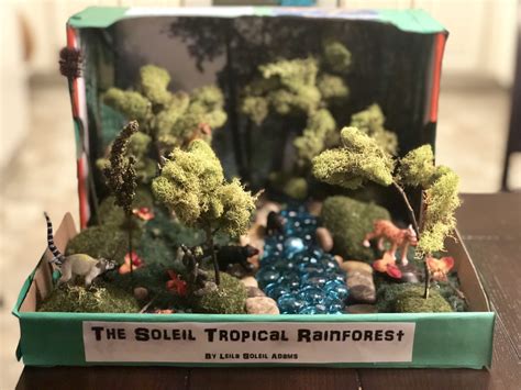 Diorama Examples