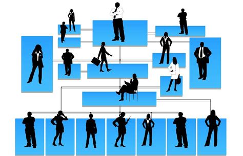 Business Structure Types Models And Key Examples