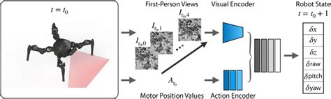 Egocentric Visual Self Model Overview In Each Timestamp T The Action