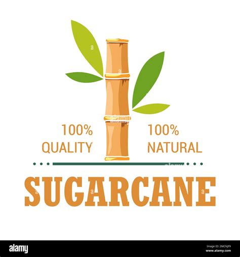 Natural Organic Product Sugarcane Isolated Icon Plantation Stock Vector