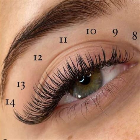What Length Of Eyelash Extension Should I Get Lashbrow Beauty
