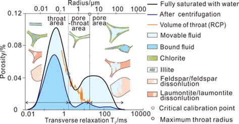 Impacts Of The Pore Throat Structure On Fluid Mobility In Tight Sandstone Insight From An