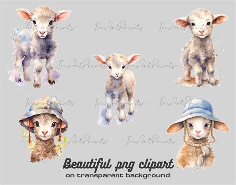 Watercolor Lamb Clipart Cute Lamb Png Lamb With Flowers Country