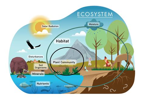 How Does Water Pollution Affect Humans And Ecosystems