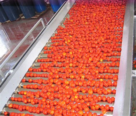 Tomato Processing Machine Automatic Tomato Paste Production Line Of