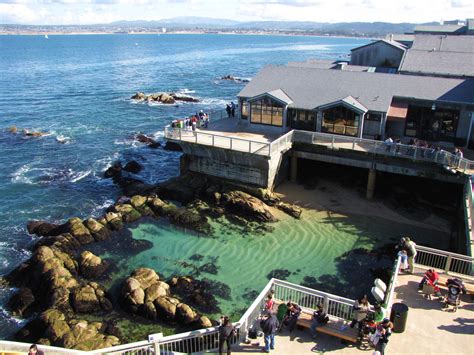 Aquarium California Monterey At Tommy Lotts Blog