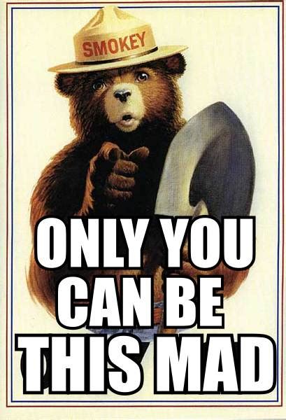 Image 764853 Smokey The Bear Know Your Meme