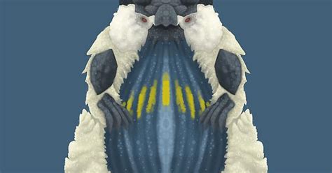 Fat Lagombi Monster Hunter Imgur