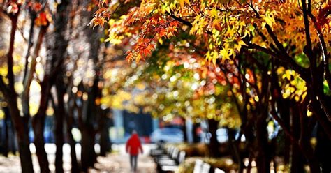 포토친구 가을에서 겨울로 가는 길목의 풍경