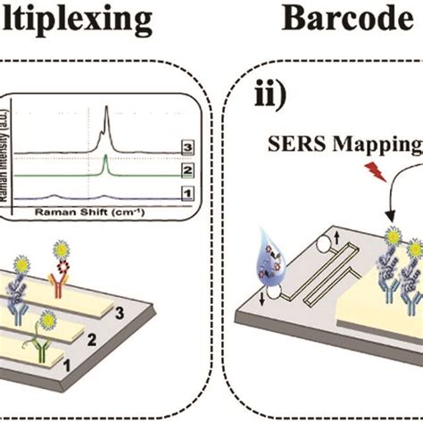 Schematic Of Multiplexing In Sers Microfluidic Systems Multiplex Download Scientific Diagram