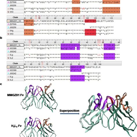 Pdf A Humanized Anti Dll4 Antibody Promotes Dysfunctional