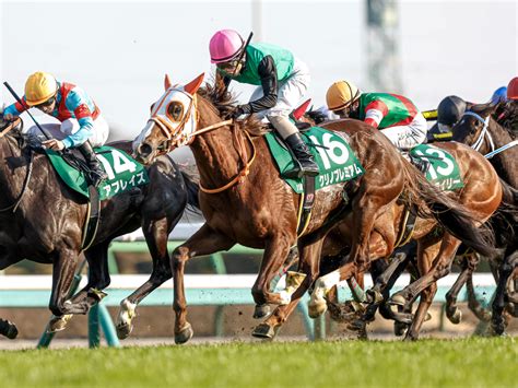 【中山牝馬ステークス2023予想】有利な枠順は？ 過去10年の枠番・馬番の成績競馬予想データ 競馬まとめ Netkeiba