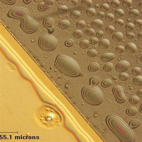 Pdf Optical System Contamination Formation Of Films And Droplets