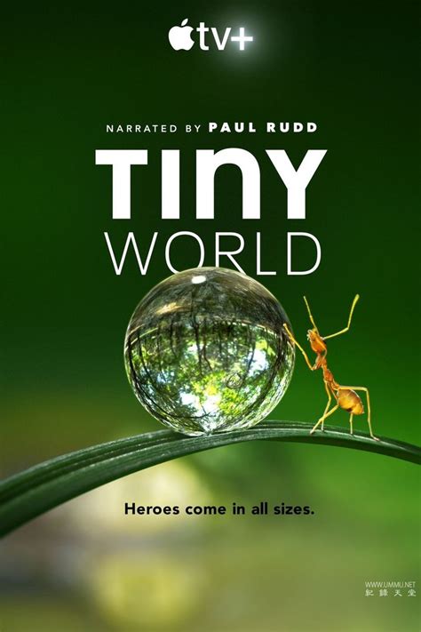 美国纪录片小小世界 Tiny World全6集 英语中字 1080P MP4 6 38G 纪录小型生物坚韧的生命力 纪录天堂