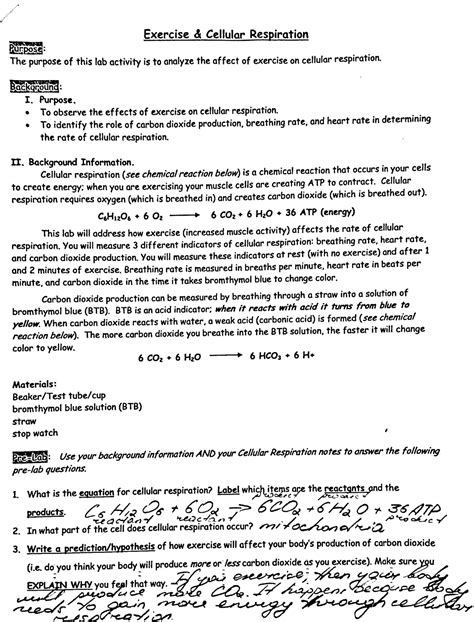 Cellular Respiration Lab Studocu