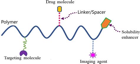 Polymer Drug Conjugation Services Axispharm