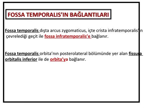 Fossa Temporalis Fossa Infratemporalis Fossa Pterygopalatina Fazlası Iç