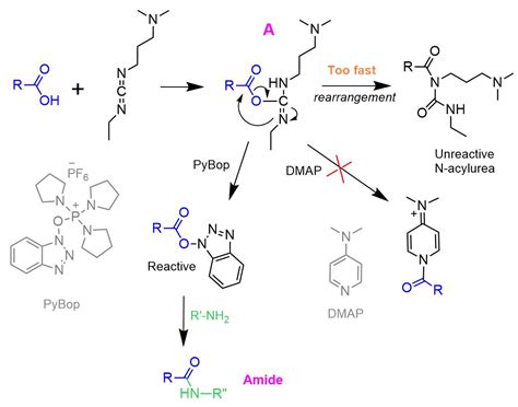 Edc🧪 Coupling Is A Reaction That Couples Carboxylic Acids To Primary
